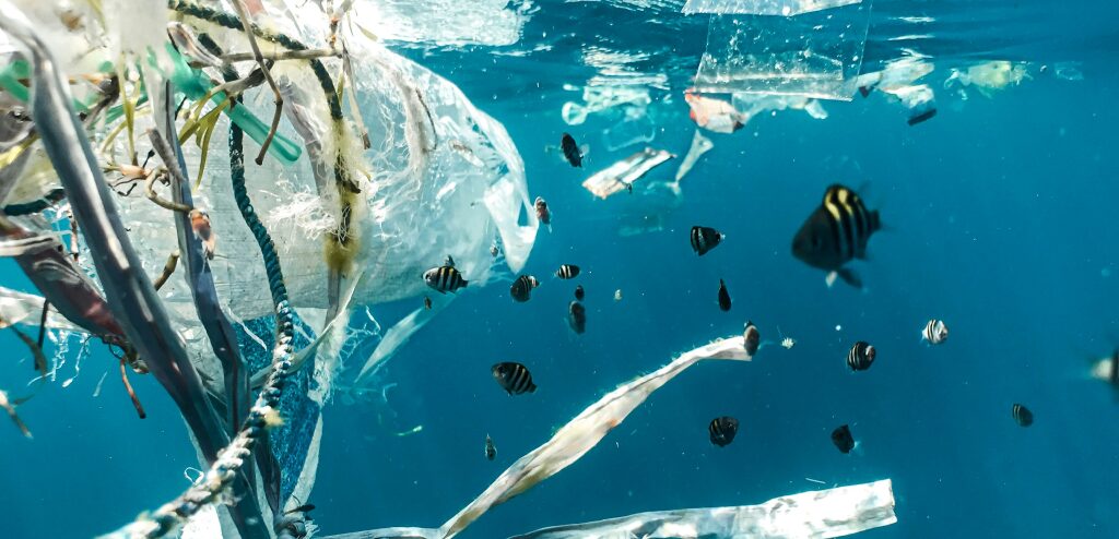 【2025年度版】プラスチックごみ問題が環境に与える深刻な影響｜データと事例で徹底解説